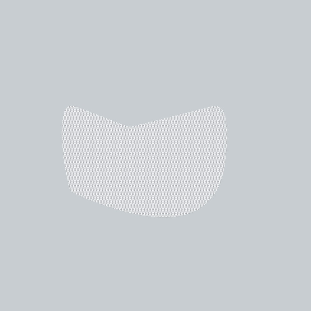 Study on implant-based mesh-supported breast reconstruction: results ...